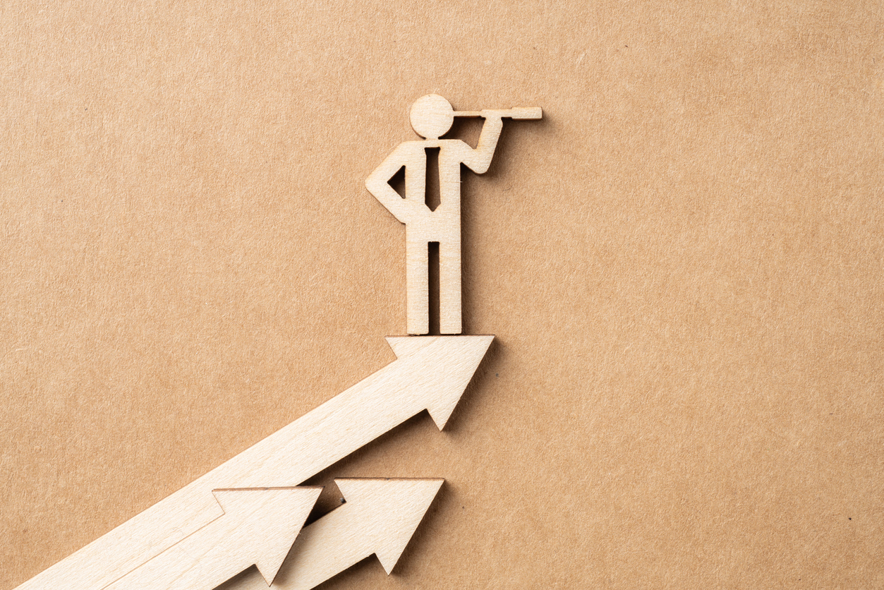 Why Vision Is Vital for Business Success - Provident CPAs PLC Why ...